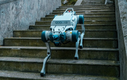 Quadruped Robots | IG Inno Limited