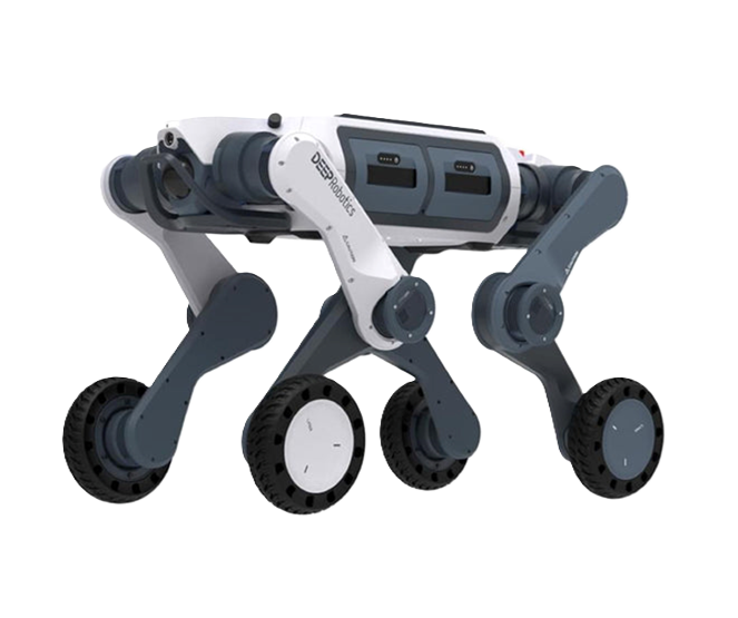 Quadruped Robots | IG Inno Limited